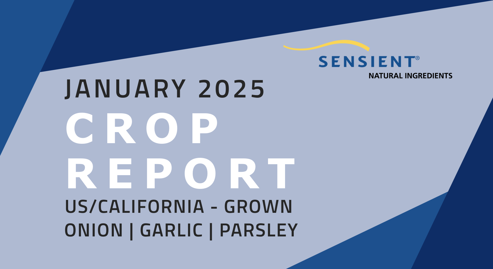 Crop Report, January 2025 | Sensient Natural Ingredients